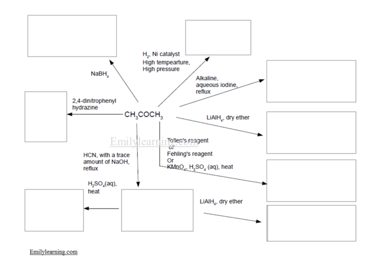 Organic Chemistry Concept Maps - Part 2 - Emily Learning